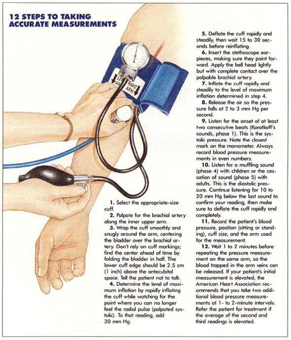 Steeles Taking Blood Pressure Correctly